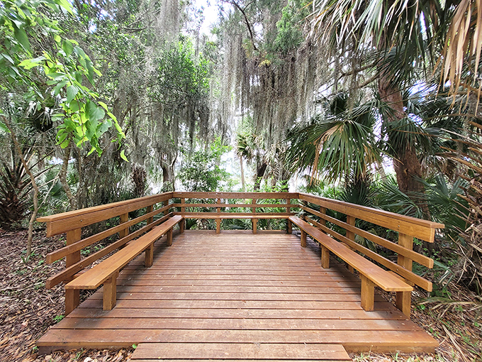 This wooden deck isn't just seating &ndash; it's a front-row ticket to Florida's greatest show: undisturbed natural beauty.