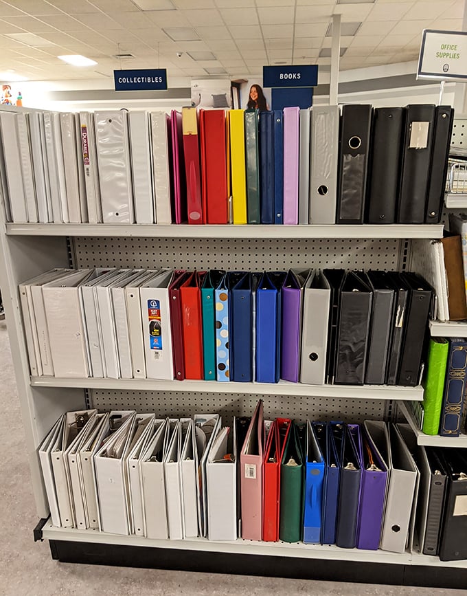 Office supplies galore! Binders and folders stand at attention like soldiers ready to organize your life for pennies on the dollar.