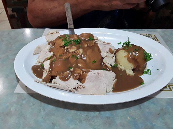 Turkey and gravy living their best life. When mashed potatoes get a gravy hot tub and turkey joins the party, everyone wins.