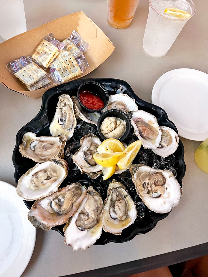 Oysters on the half shell &ndash; nature's perfect appetizer. Each one a briny little time capsule from the depths of the Gulf.