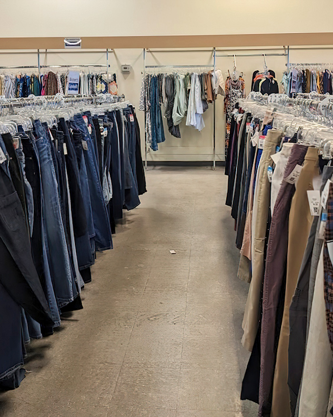 The denim aisle: a testament to America's love affair with jeans. Every pair tells a different story, most with happier endings than your last diet.
