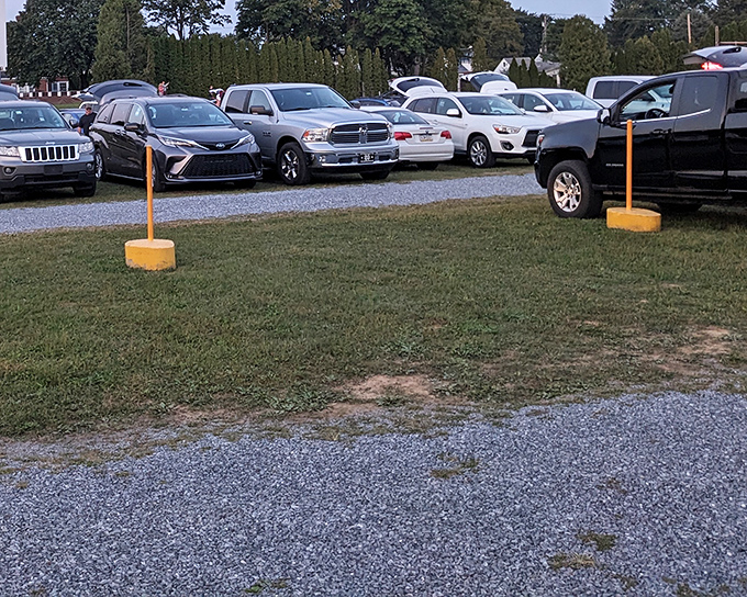 Vehicles line up in neat rows, each creating a private viewing box under the open sky.