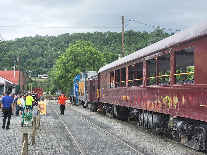 The platform buzzes with anticipation as passengers prepare for scenery that'll make their camera rolls actually worth scrolling through.