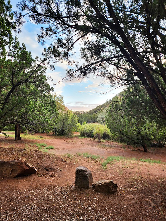 A tranquil clearing surrounded by pines&mdash;nature's version of the perfect living room, minus the TV and with much better air circulation.