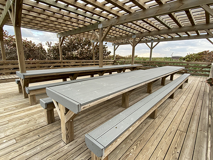 Picnic pavilions that say, "Yes, you can have lunch with a view that makes your coworkers jealous on social media."