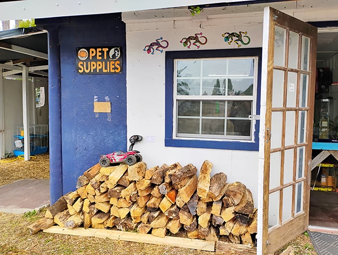 Not just pet supplies&mdash;it's a pet paradise waiting to happen. That firewood stack says "we're practical folks who love animals and staying warm."