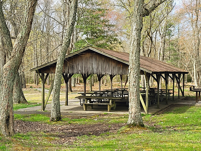 The quintessential picnic shelter awaits your family reunion or impromptu sandwich feast. Tables included, memories made separately.