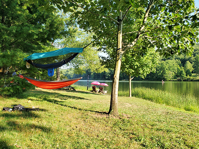 Hammock diplomacy at its finest. Nothing says "I've figured out life" quite like swinging between trees with a lake view.
