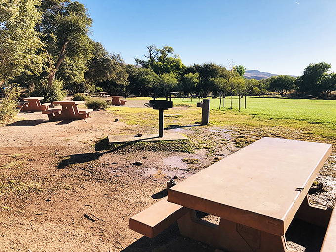 Picnic tables positioned for optimal mountain viewing. Because sandwiches always taste better with a side of geological magnificence. 
