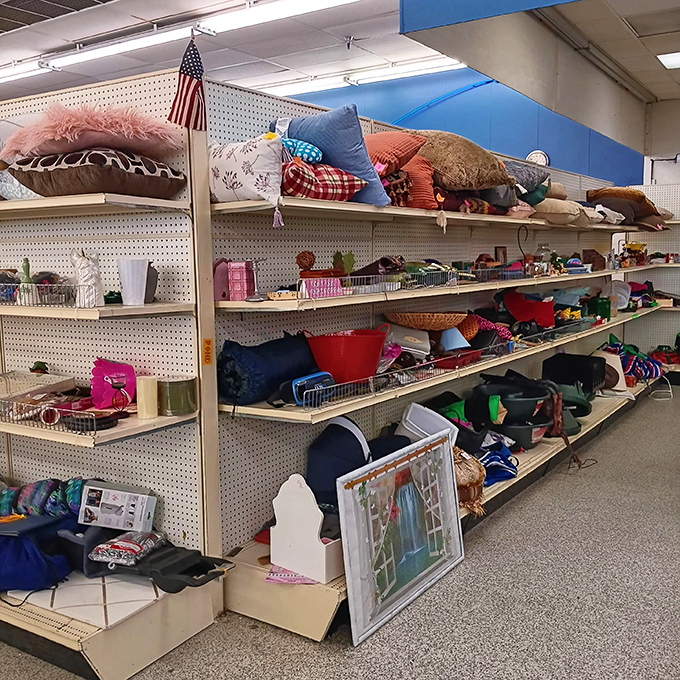 Even your throw pillows deserve a second chance at making someone's couch look intentionally eclectic.