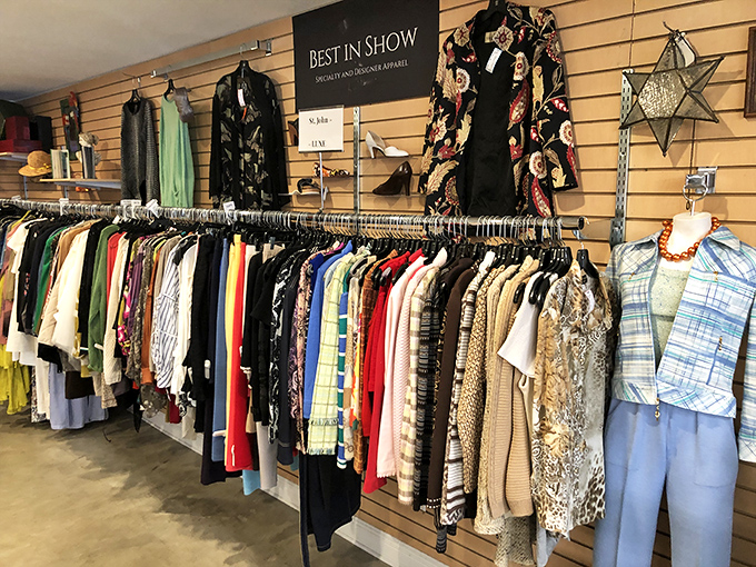 Color-coordinated clothing racks make browsing efficient and satisfying, like flipping through a well-organized fashion magazine you can actually afford.