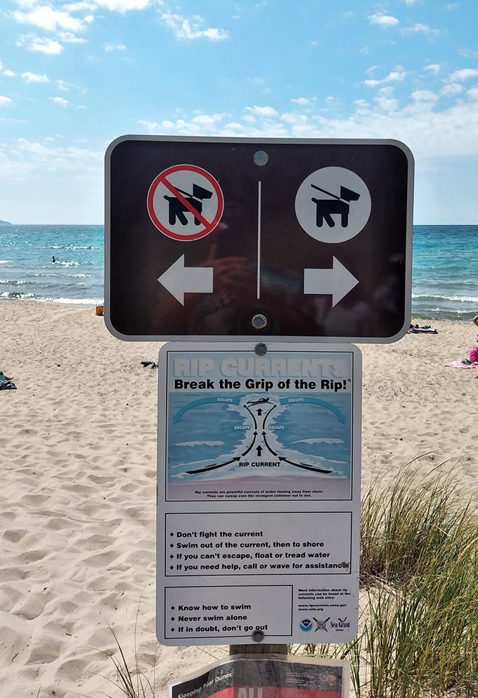 "Break the Grip of the Rip!" &ndash; because even paradise comes with fine print and safety instructions.