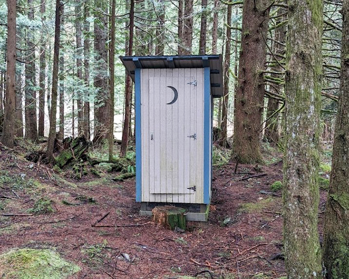 The classic woodland outhouse&mdash;where rustic charm meets basic necessity. That crescent moon door isn't just decorative; it's tradition!