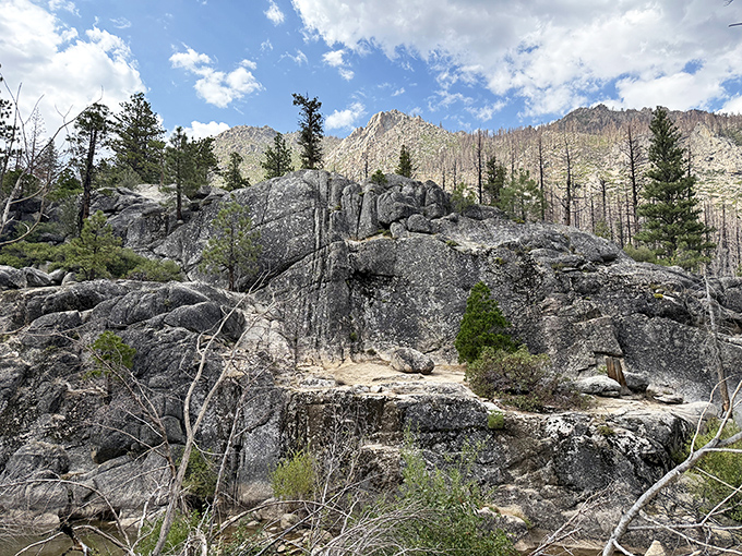The perfect spot to contemplate life's big questions or simply enjoy a sandwich with a million-dollar view. Nature's meditation cushion.