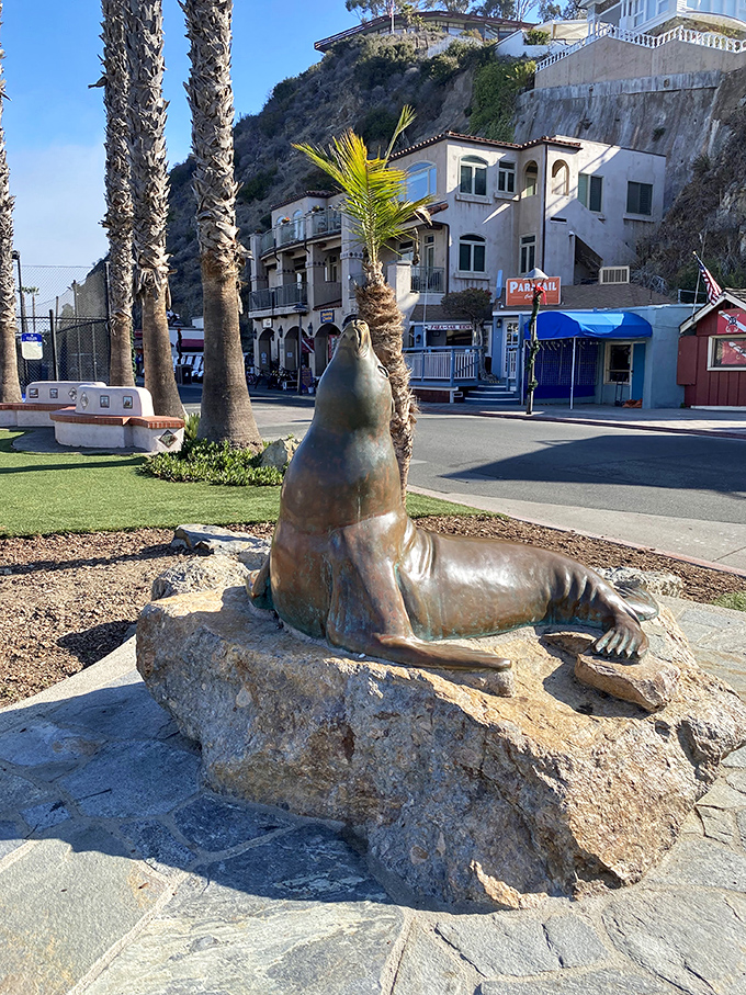 This bronze sea lion has the best seat in town. He's been watching the sunset every evening for years and never gets tired of it.
