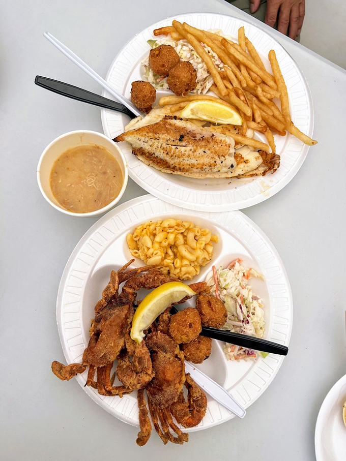 Two plates, endless possibilities. The kind of seafood spread that makes you want to cancel your afternoon plans and surrender to a food coma.