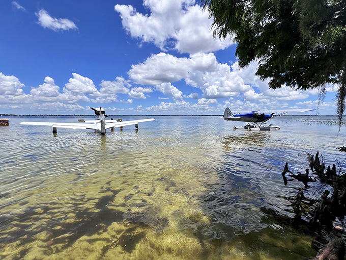 Seaplanes resting on crystal waters &ndash; when regular boats just aren't dramatic enough for your Florida lake experience.
