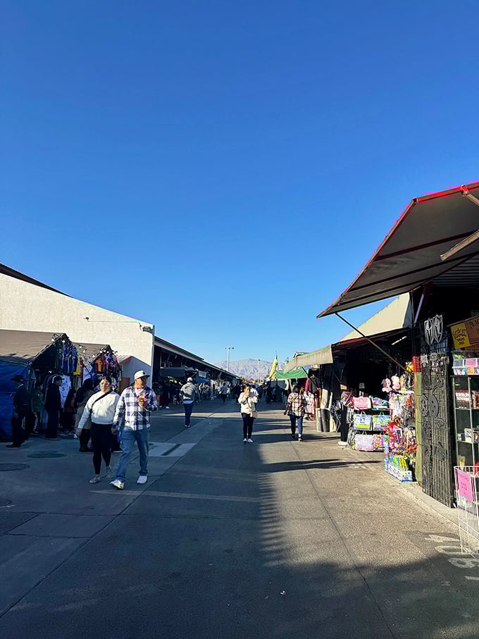 Under the brilliant Nevada sky, shoppers hunt for treasures with the mountains standing guard in the distance like patient retail chaperones.