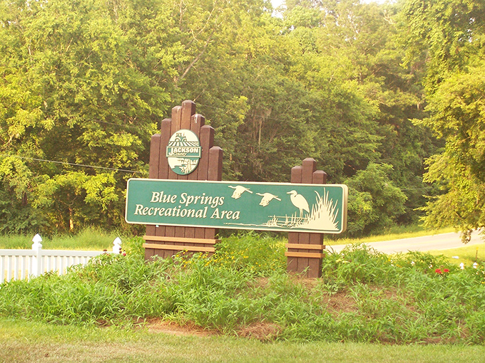 The gateway to aquatic paradise &ndash; this unassuming sign marks the entrance to one of Florida's most spectacular natural treasures.