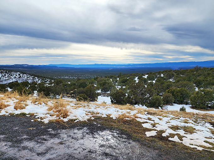 Winter's unexpected appearance creates a magical contrast of white snow against Arizona's typically warm palette. Talk about a plot twist!