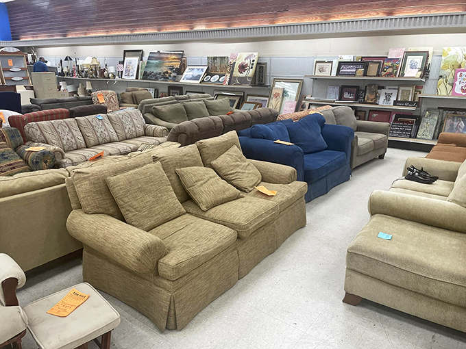 The sofa section resembles a living room convention, where each comfortable contender silently pleads, "Pick me for your Netflix marathons!"