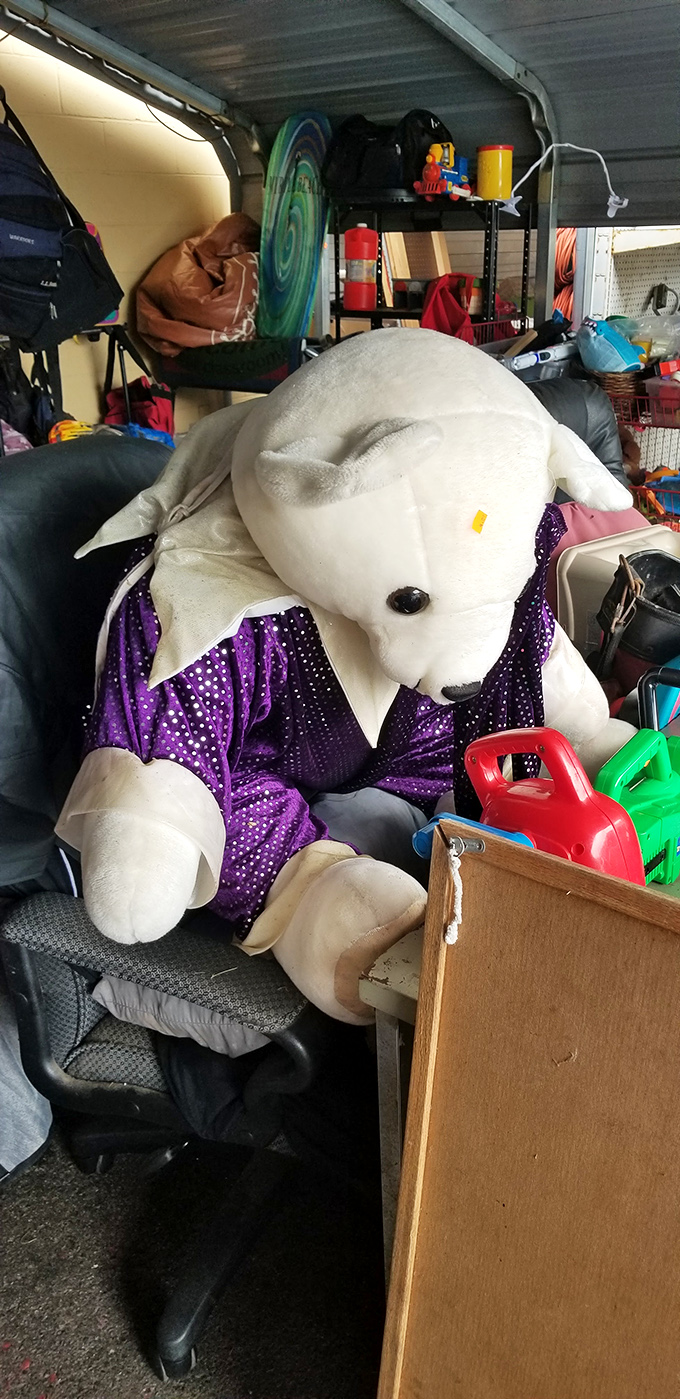 The polar bear in purple pajamas wasn't on anyone's shopping list, but somehow becomes the day's most compelling impulse buy. He's been waiting for the right home.