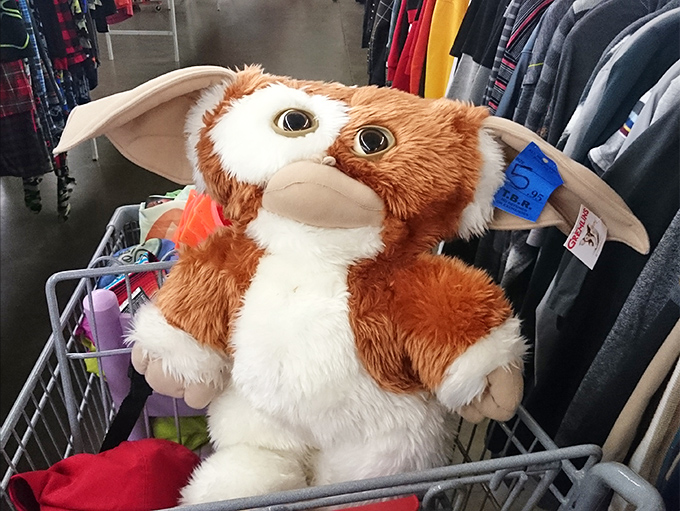 A Gizmo-like stuffed creature waits patiently in a shopping cart, hoping you won't feed him after midnight. Thrift store magic brings '80s nostalgia to life.