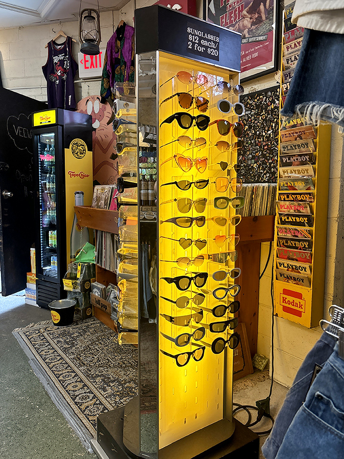 Sunglasses from every era prove that looking cool has always been in style. Find your perfect pair and channel your inner movie star.