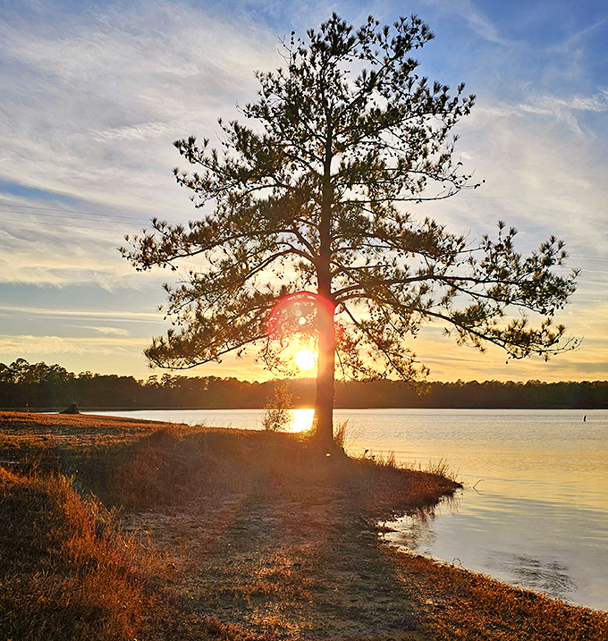 Sunsets at Paul B. Johnson don't just end the day&mdash;they put on a full theatrical production with light, water, and that lone pine tree stealing the show.