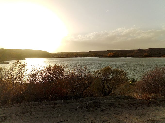 Golden hour at Lake Scott transforms ordinary water into liquid amber. Sunsets here make smartphone cameras work overtime.