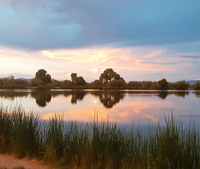 Sunset transforms the pond into liquid gold &ndash; a daily miracle that happens whether anyone's watching or not.