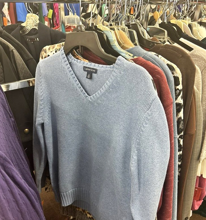 Sweaters organized by color create a rainbow of secondhand possibilities that retail stores charge triple to achieve.