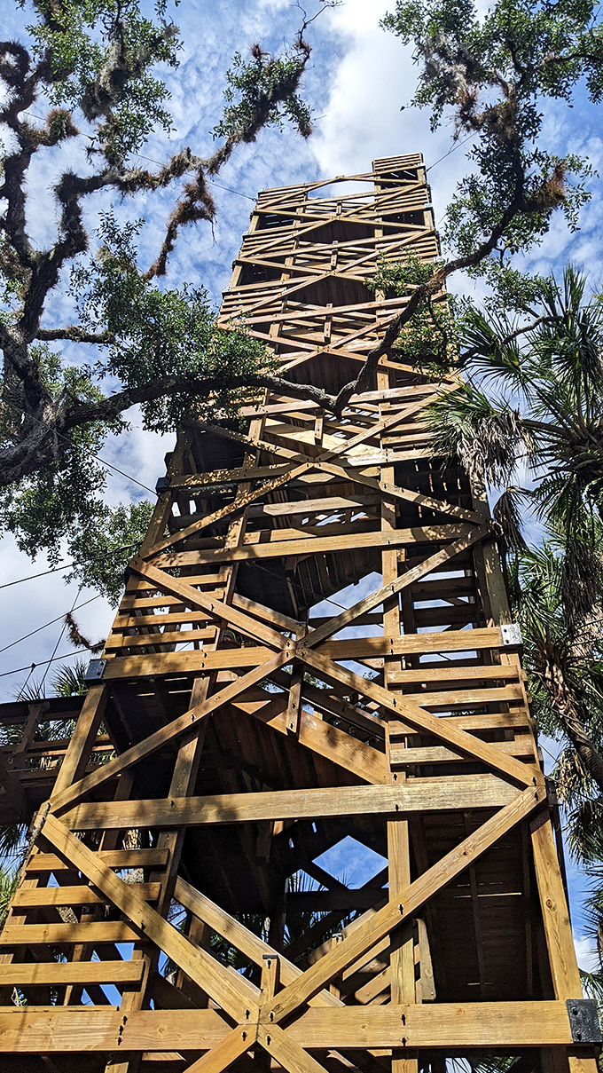 The observation tower rises like a wooden Jenga game on steroids, promising views worth every step of the climb.