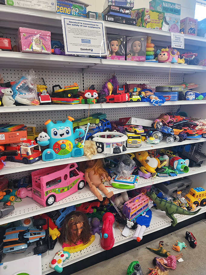 The toy section—where childhood nostalgia meets grandparent opportunity. That dinosaur might just become your grandkid's new best friend.