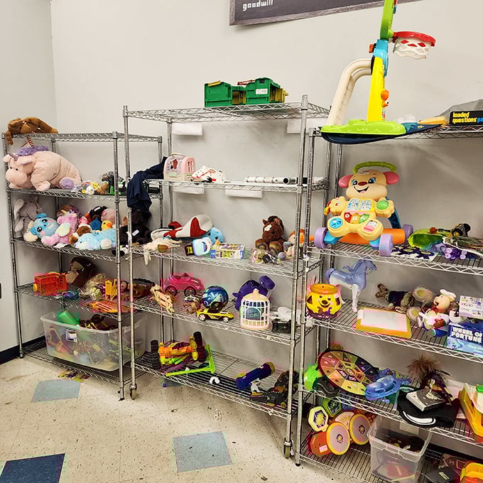 The toy section: where childhood memories are recycled and plastic joy awaits its next adventure.