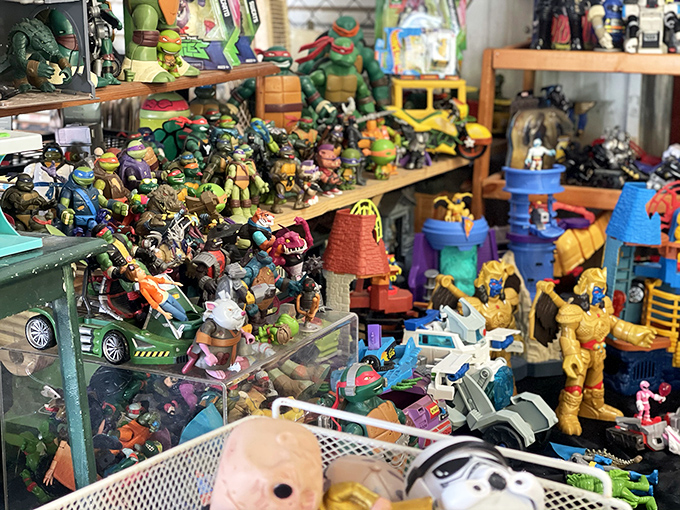 Teenage Mutant Ninja Turtles meet Power Rangers in this toy vendor's time capsule. Every childhood hero waits to be rediscovered and rescued.