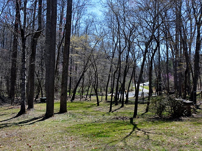 Even without its wooden star, the surrounding woodland creates a peaceful retreat where time seems to slow to a nineteenth-century pace.
