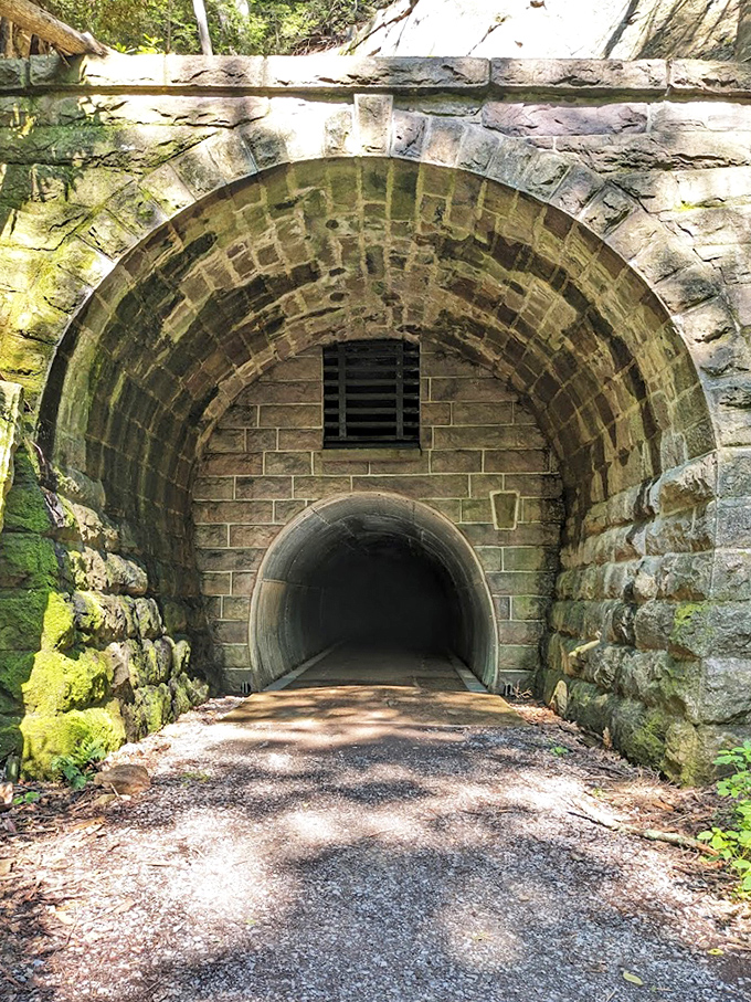 Not all who wander are lost, but this mysterious tunnel definitely makes you wonder what adventures await on the other side.