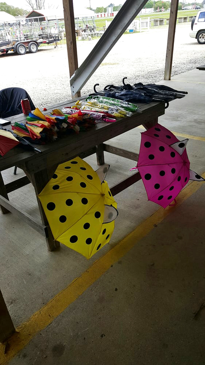Rainy day? No problem! These whimsical polka-dotted umbrellas add a splash of color to gray skies&mdash;practical magic for Louisiana's spontaneous showers.