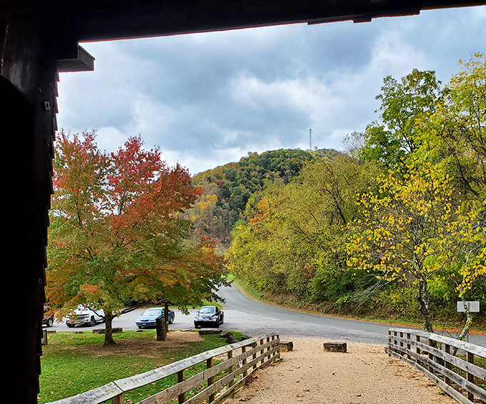 The view from inside frames autumn's paintbox perfectly. Mother Nature showing off her fall collection while the bridge provides the runway.