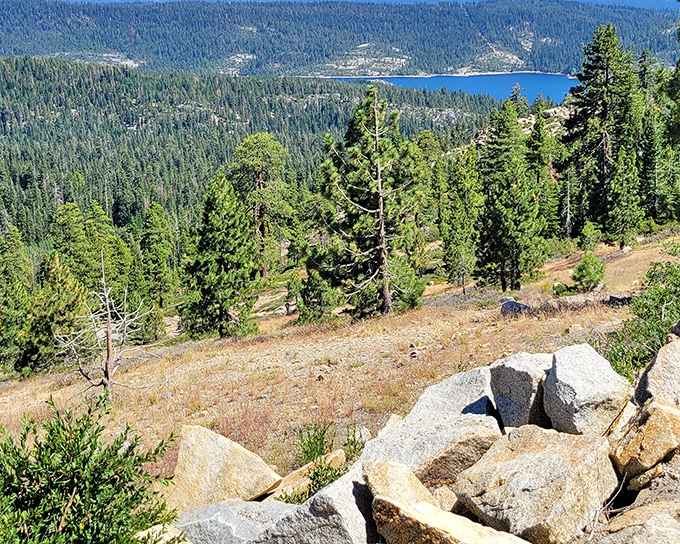 Layer upon layer of Sierra splendor, like nature's version of a perfect lasagna. Each ridge tells a different geological story.