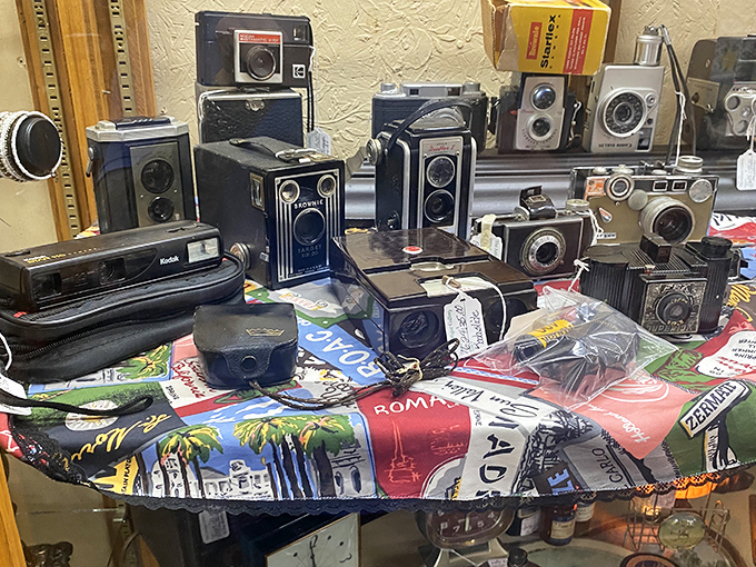Pink velvet chairs waiting patiently for someone brave enough to bring Victorian drama back into their living room.