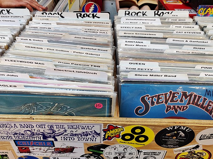Vinyl heaven for music lovers – where album hunting becomes a contact sport and forgotten classics await rediscovery.