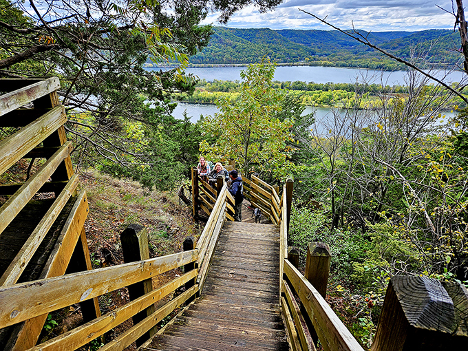 Wooden stairs descend into adventure, or at least into really good photo opportunities for the grandkids.
