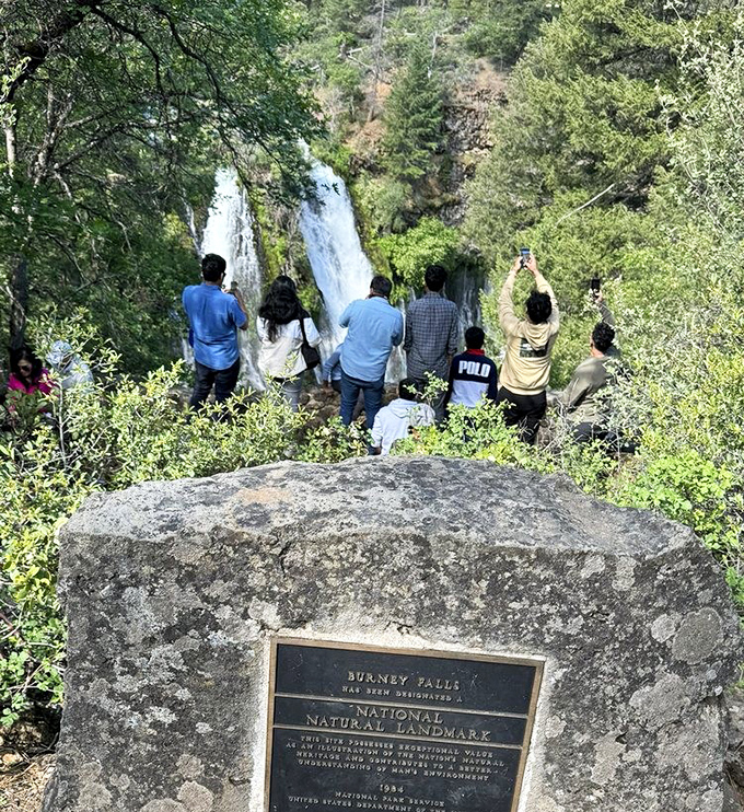 The universal reaction to first-time falls viewers: collective awe. Visitors gather at the overlook, smartphones raised in a modern salute to nature.