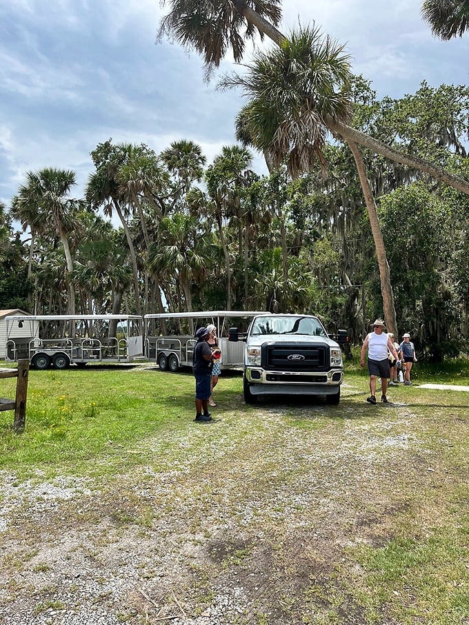 Park visitors gather under the palms, proving that sometimes the best Florida souvenirs aren't found in gift shops but in shared moments outdoors.