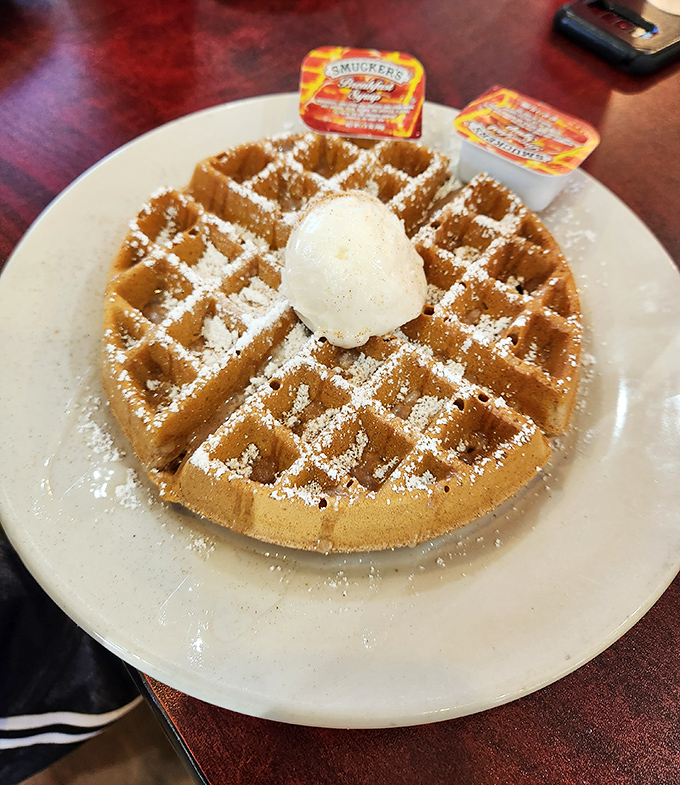 A waffle so perfectly formed it could teach geometry classes, dusted with powdered sugar like Florida's answer to fresh snowfall.