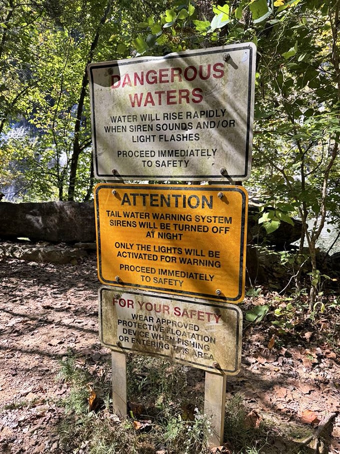 Warning signs: where nature reminds you she's beautiful but not always gentle. Respect the power behind the pretty.