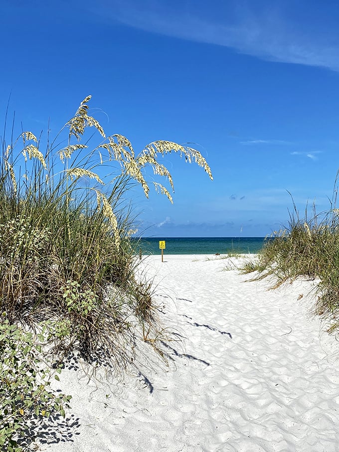 The pathway to possibility. This sea oat-lined entrance to Coquina Beach feels like the opening scene of your best vacation story.