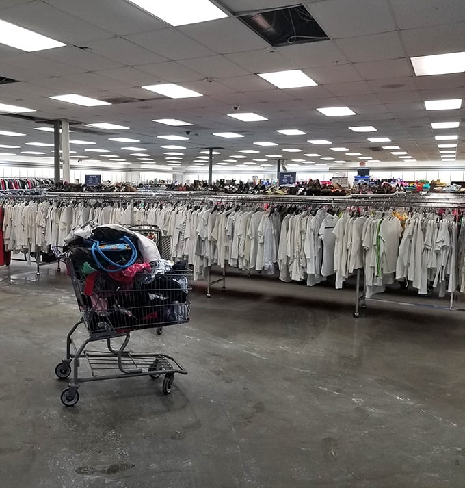 A sea of white shirts creates a blank canvas of possibilities, each hanger holding someone's future job interview outfit or wedding emergency backup.